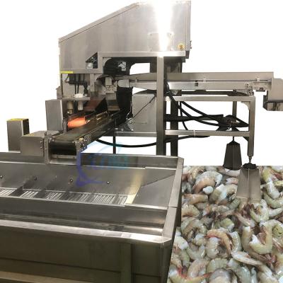 China SS304 Shrimp Deheading Machine Automatic Shrimp Sorting Machine for sale