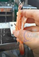China High Precision Prawn Belly Cutter 90Pcs/Min Shrimp Peeling Device for sale