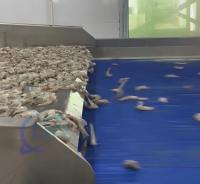 China 1000-1500KG Smart Shrimp Deheading Machine Seafood Processing Machinery for sale