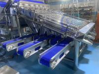 China Fresh Prawn Washing Rolling Sorting Machine 1200KG Shrimp Grader Machine for sale