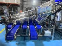 China Fresh Prawn Washing Rolling Sorting Machine 1200KG Shrimp Grader Machine for sale