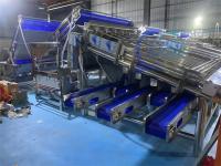China Fresh Prawn Washing Rolling Sorting Machine 1200KG Shrimp Grader Machine for sale