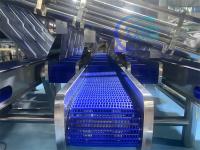 China Fresh Prawn Washing Rolling Sorting Machine 1200KG Shrimp Grader Machine for sale