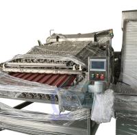China 3KW Shrimp Peeling And Deveining Machine 300KG/H Automatic Prawn Peeler for sale