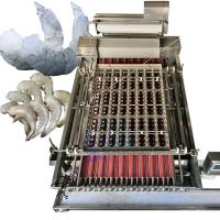 China Automatic Shrimp Peeling Machine 250KG/H-300KG/H Shrimp Peeler Machine for sale