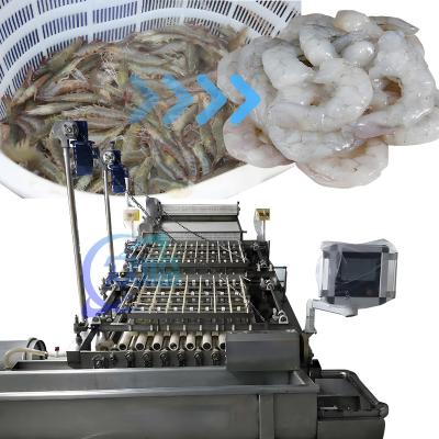 China High Capacity Shrimp Peeler Deveiner Prawn Deshelling Machine CE Approval for sale