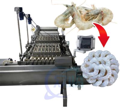 China SS304 Automatic Prawn Peeler 380v 3KW Shrimp Peeling Equipment for sale