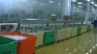 China Fish And Shrimp Processing Blender 1200kg Per Time Seafood Processing Machinery for sale