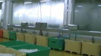 China Fish And Shrimp Processing Blender 1200kg Per Time Seafood Processing Machinery for sale