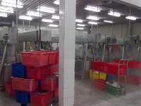 China Stainless Steel Batch Shrimp Processing Soaking Machine Large Scale for sale