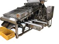 China 304SS Shrimp Grading Machine Heavy Duty Roller Sorter 18 Rollers for sale