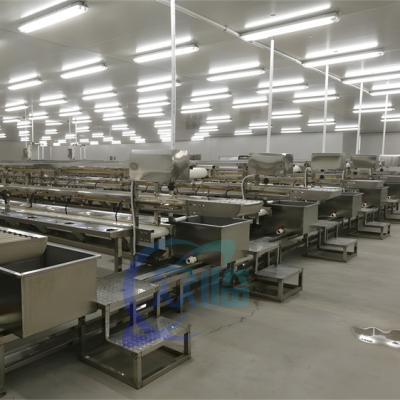 China 3KW Shrimp Deheading Machine 1000-1500kg/H Prawn Deshelling Machine for sale