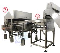 China 1000KG/H-1500KG/H Shrimp Separator Machine 380V 3P 50HZ Seafood Processing Line for sale