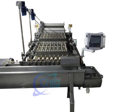 China 380V 3P 50HZ Commercial Shrimp Peeling Machine 300KG/H Automatic Shrimp Peeler for sale