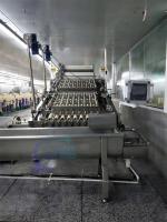 China 380V 3P 50HZ Commercial Shrimp Peeling Machine 300KG/H Automatic Shrimp Peeler for sale