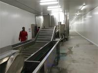 China High Pressure Shrimp Freezer 1000kg/H-1500kg/H Cooling Fish Processing Machine for sale