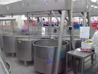 China Elevator Shrimp Soaking Blender Immersion Mixer For Insulation Barrel Mixing for sale