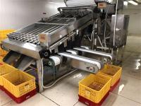 China 4.9kw Shrimp Processing Machine Prawn Roll Sorting Machine 1000kg-1200kg Capacity for sale