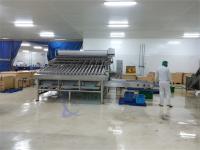 China Commercial Automatic Shrimp Grading Machine 8 Roller 1800kg-2200kg Prawn Grader for sale
