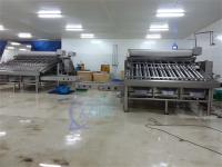China Commercial Automatic Shrimp Grading Machine 8 Roller 1800kg-2200kg Prawn Grader for sale