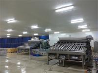 China Commercial Automatic Shrimp Grading Machine 8 Roller 1800kg-2200kg Prawn Grader for sale