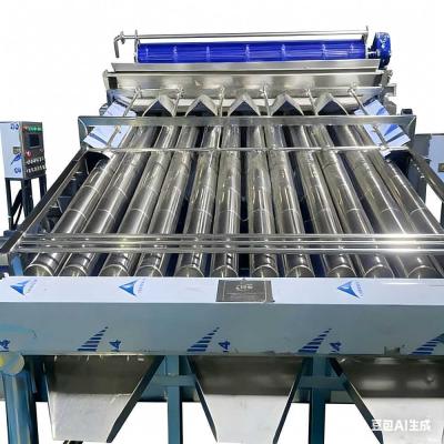 China SS304 Shrimp Sorting Machine Big Capacity Shrimp Grading Line for sale