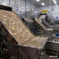 China 4.9kw Shrimp Processing Machine Prawn Roll Sorting Machine 1000kg-1200kg Capacity for sale