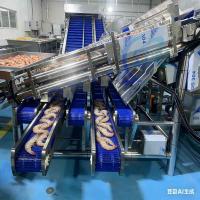 China Stainless Steel Seafood Sorting Machine 4.9kw Prawn Sizing Machine for sale