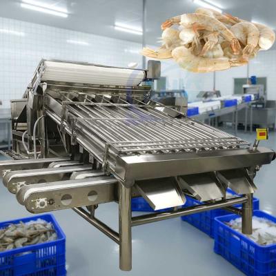 China 18 Roller Shrimp Sorting Machine 1500kg-1800kg Prawn Grader 4.9KW for sale