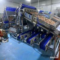 China 1800kgs-2200kgs Shrimp Grading Machine 12 Rollers Shrimp Sorter for sale