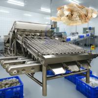 China 1800kgs-2200kgs Shrimp Grading Machine 12 Rollers Shrimp Sorter for sale