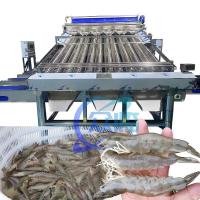 China Shrimp Cooking Machine 4.9kw High Precision Shrimp Sorting Machine 380V for sale