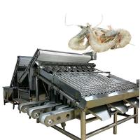 China Shrimp Roller Grader Machine Big Capacity Prawn Roller Sorter Anti Erosion for sale