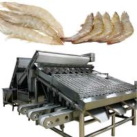 China Automatic Shrimp Sizing Machine 1000kg-1210kg Prawn Grading Machine for sale