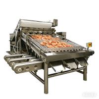 China Zolim Shrimp Processing Equipment Seafood Roller Sorting Machine for sale