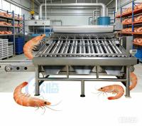China Zolim Shrimp Processing Equipment Seafood Roller Sorting Machine for sale