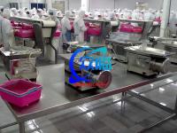 China CE Certified Shrimp Deveining Machine 80Pcs/Min-100Pcs/Min 380V for sale