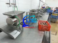 China Industrial Shrimp Cutting Machine CE Certified 380V Automatic Prawn Peeler for sale
