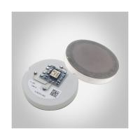 China UCS2 99.9% Alumina Ceramic Capacitive Pressure Sensor For Industrial for sale
