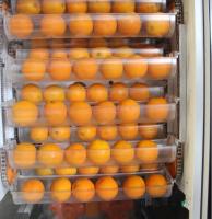 China Auto Fruit Fresh Orange Juice Vending Machine 1000W For Supermarket Store for sale