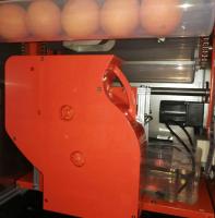 China Automatic Fresh Vending Orange Juice Machine 800W WD-ORANGE for sale