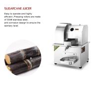 China Screw Power Sugar Cane Squeezer Stainless Steel 220V Sugar Cane Juice Extractor for sale
