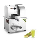 China Screw Power Sugar Cane Squeezer Stainless Steel 220V Sugar Cane Juice Extractor for sale