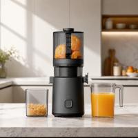 China Fresh Smart HJ303 Extra-Wide Slow Masticating Juicer – The Ultimate Whole-Fruit Experience with 155mm Chute, 2400ml Hopper, 200W Cold Press & Self-Cleaning for sale