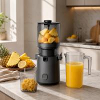 China Fresh Smart HJ303 Extra-Wide Slow Masticating Juicer – Make Every Glass a Whole-Fruit Celebration with 155mm Chute, 2400ml Hopper, 200W Cold Press & Self-Cleaning for sale