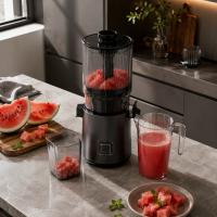 China Fresh Smart HJ303 Extra-Wide Slow Masticating Juicer – The Art of Juicing Made Effortless with 155mm Chute, 2400ml Hopper, 200W Cold Press & Self-Cleaning for sale