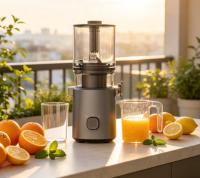 China Fresh Smart HJ303 Extra-Wide Slow Masticating Juicer – Bring the Whole Pineapple, Bring the Whole Family with 155mm Chute, 2400ml Hopper, 200W Cold Press & Self-Cleaning for sale