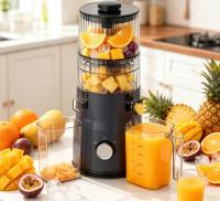 China Fresh Smart HJ103A Compact Slow Masticating Juicer – Your Kitchen’s New Favorite Color with 4 Color Options, 135mm Wide Chute, 200W Cold Press & Self-Cleaning for sale