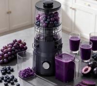 China Fresh Smart HJ103A Compact Slow Masticating Juicer – Make Every Glass a Masterpiece with 4 Color Choices, 135mm Wide Chute, 200W Cold Press & Self-Cleaning for sale