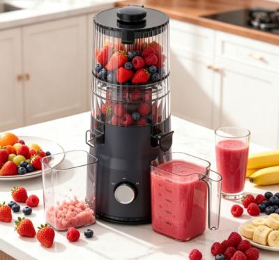 China Fresh Smart HJ103A Compact Slow Masticating Juicer – Make Every Morning More Colorful with 135mm Wide Chute, 200W Cold Press & Self-Cleaning for sale